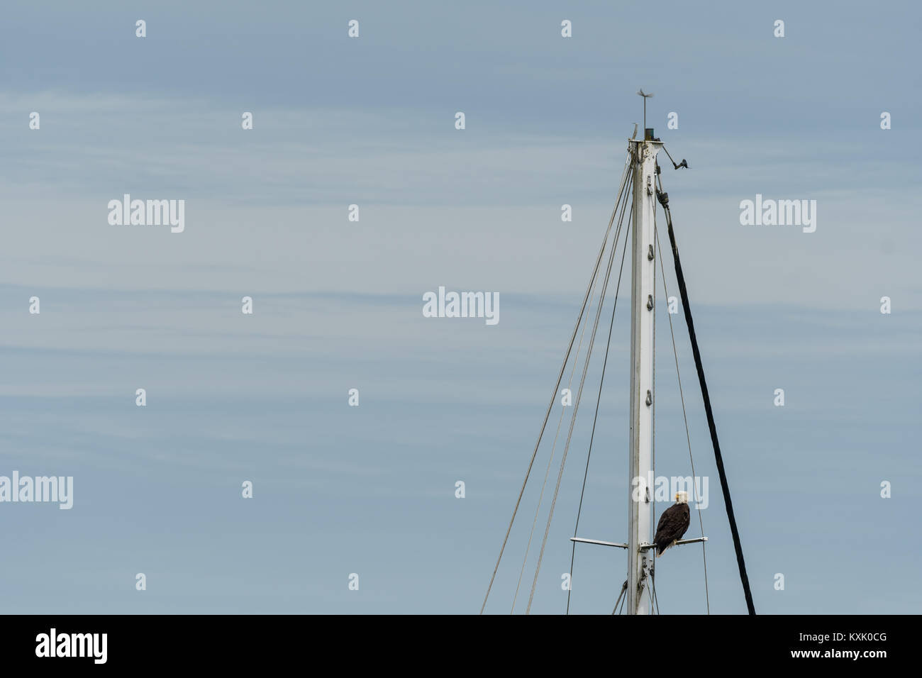 Nautical theme hi-res stock photography and images - Alamy