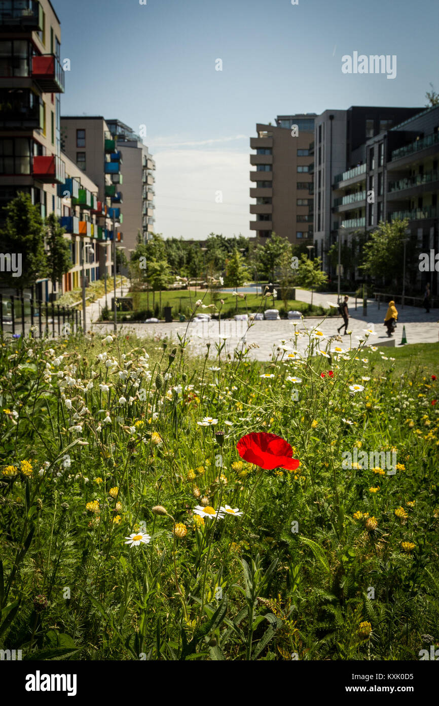 Hale Village is an urban village with sustainability and community at ...