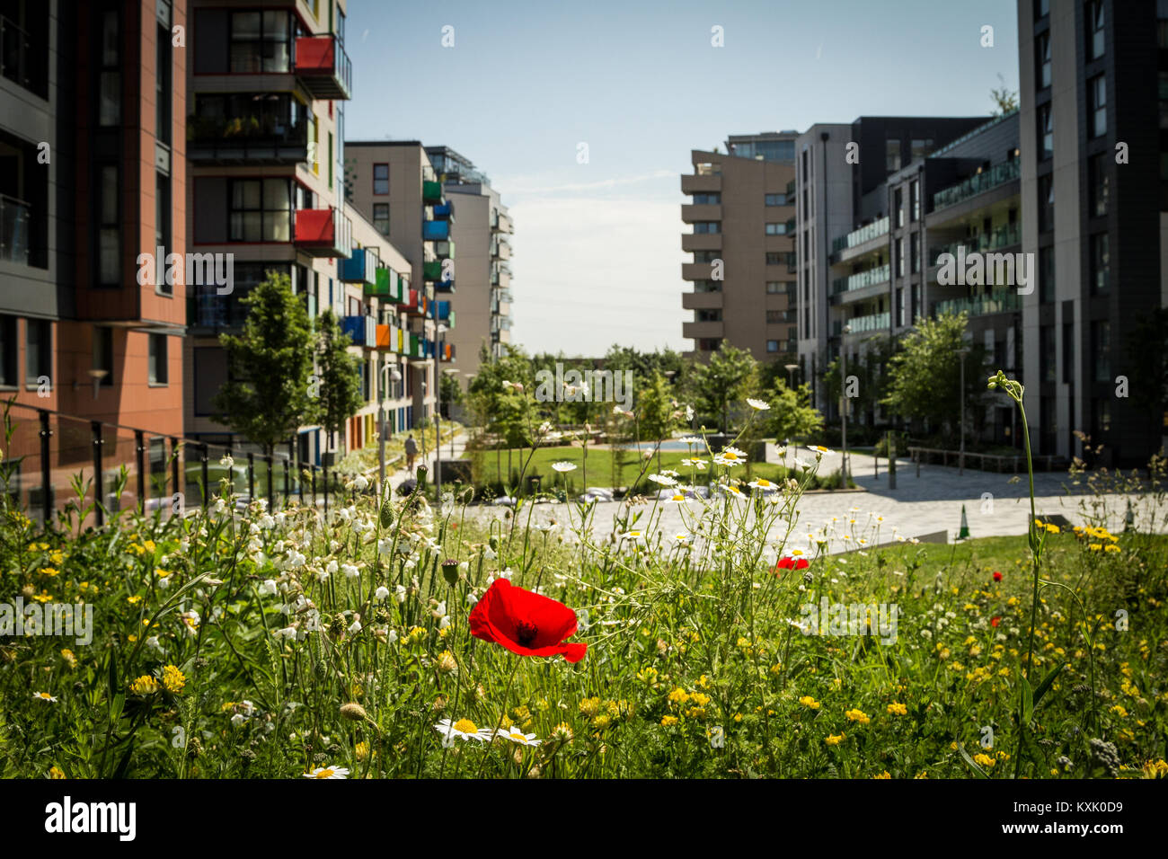 Hale Village is an urban village with sustainability and community at ...