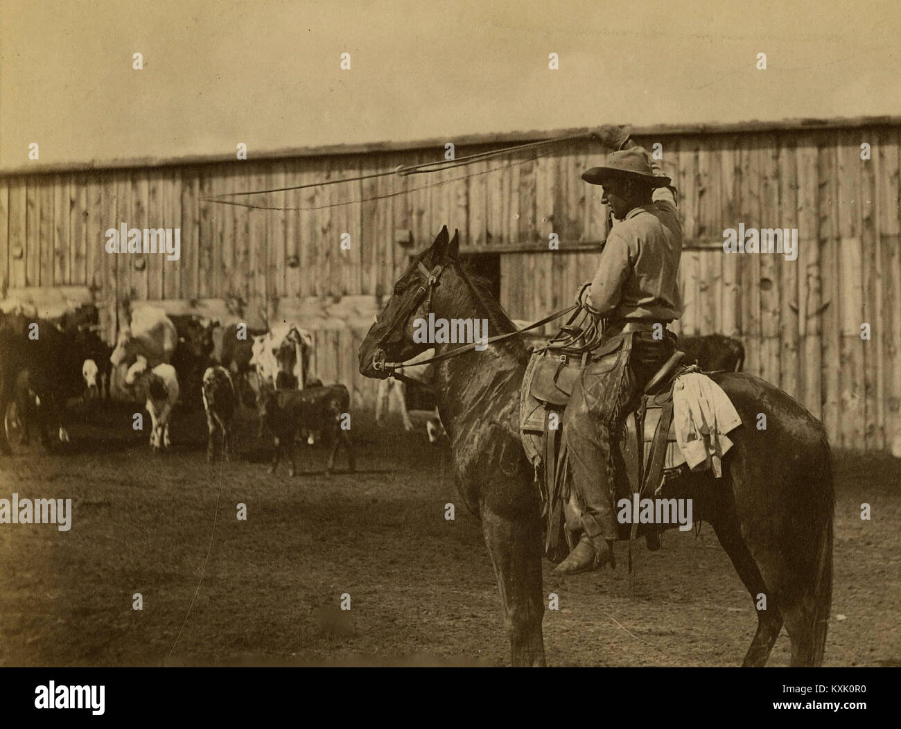 William Henry Jackson "In The Corral. The Lariat Stock Photo - Alamy