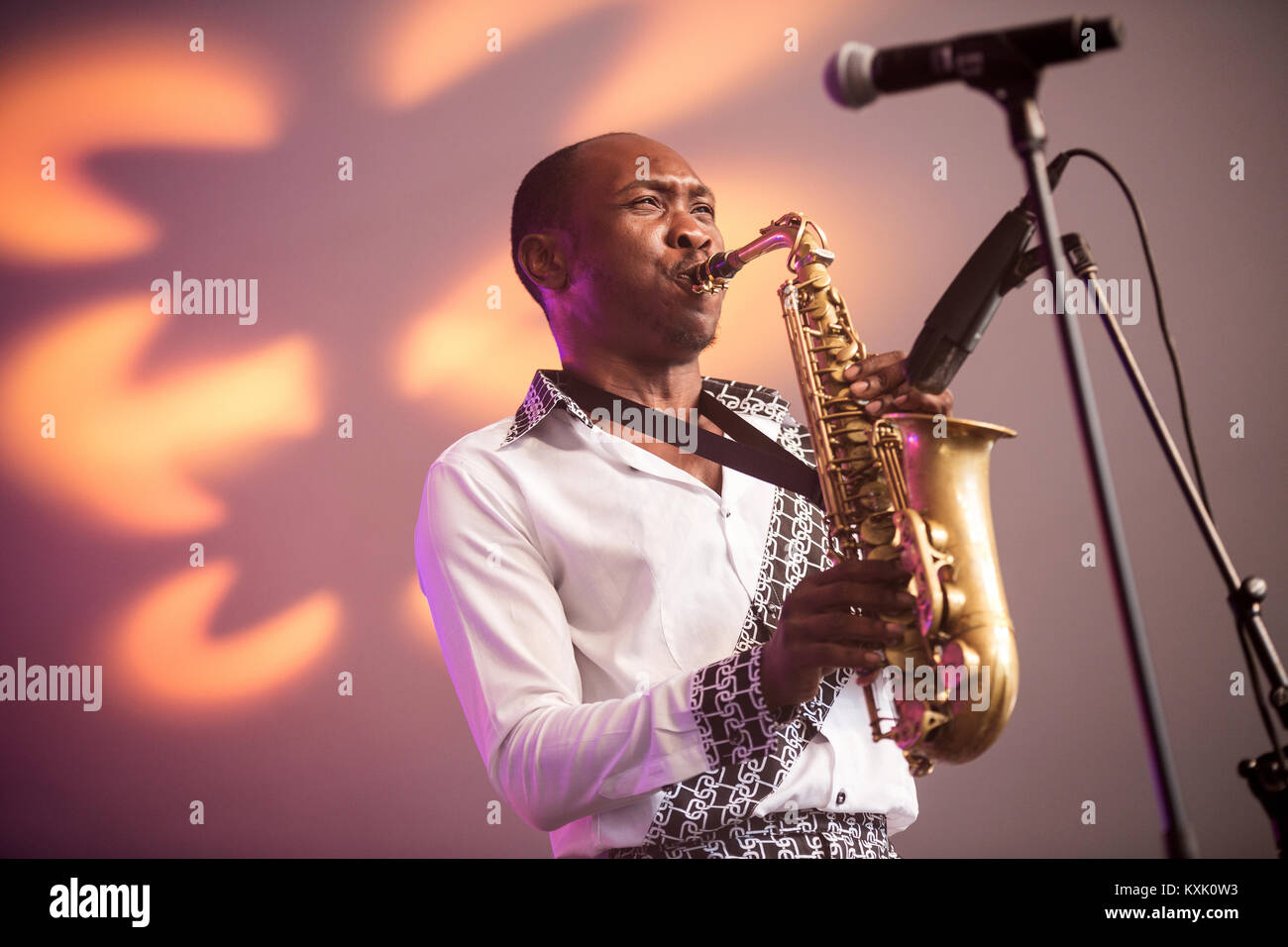 The Nigerian musician and saxophonist Seun Kuti (pictured) is the son ...