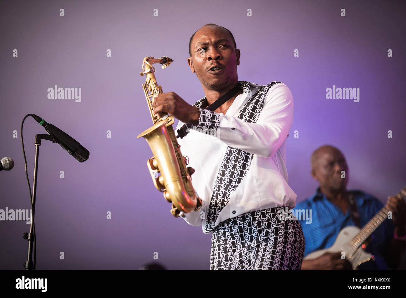 The Nigerian musician and saxophonist Seun Kuti (pictured) is the son ...