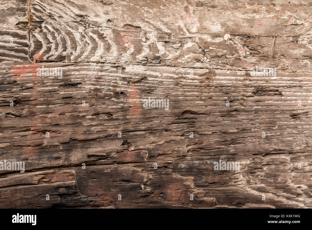Damaged wood texture hi-res stock photography and images - Alamy
