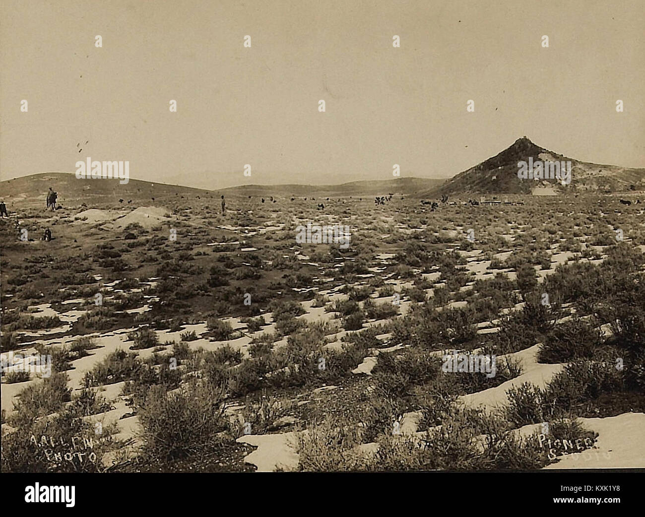 Goldfield hi-res stock photography and images - Alamy