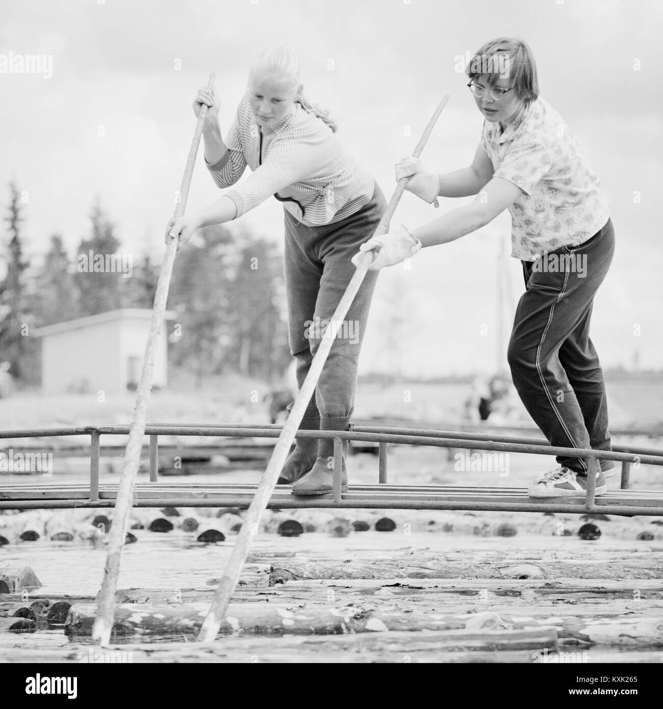 Two young women pushing logs in a river, Finland, 1959 Stock Photo - Alamy