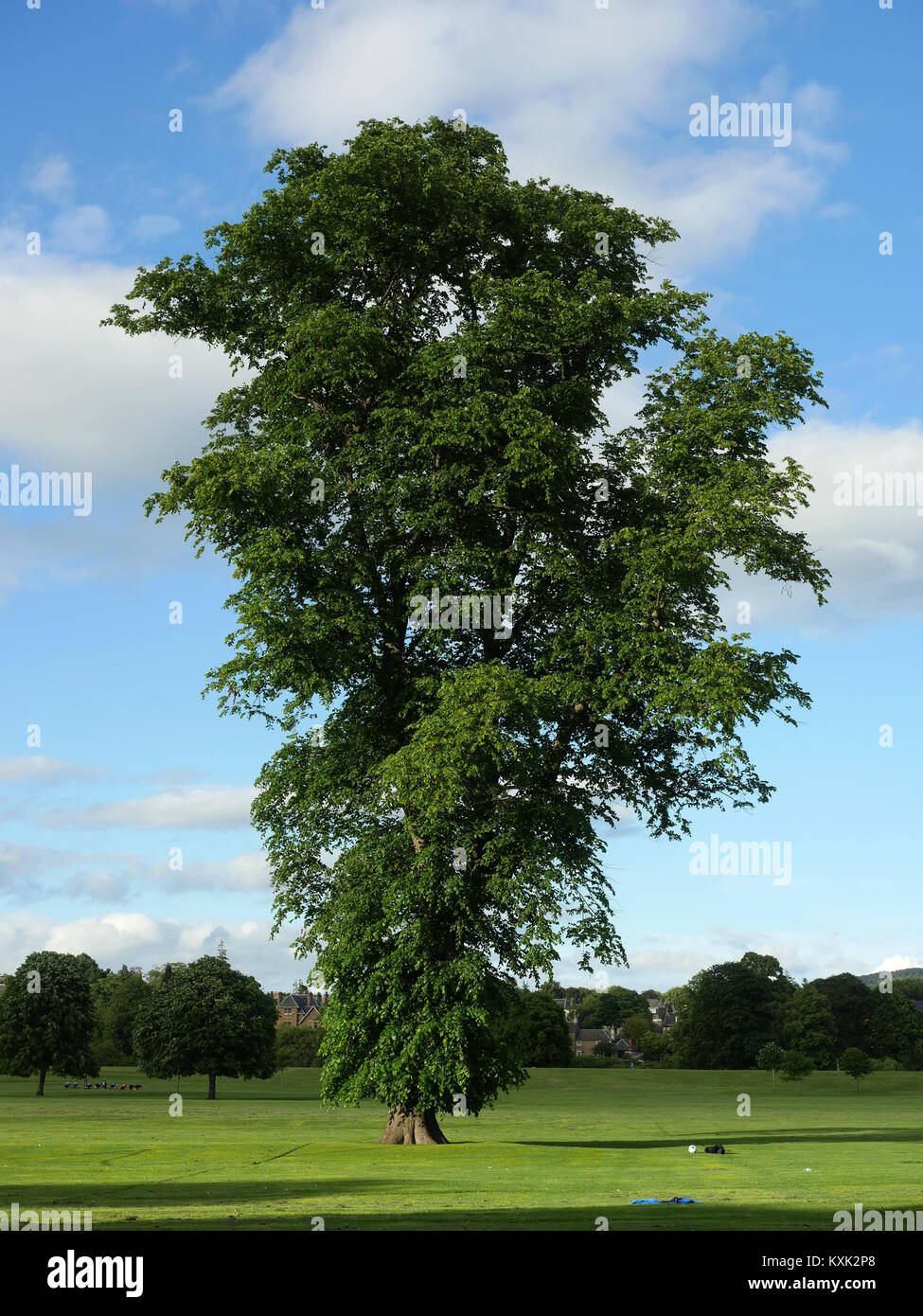 North of perth hi-res stock photography and images - Alamy