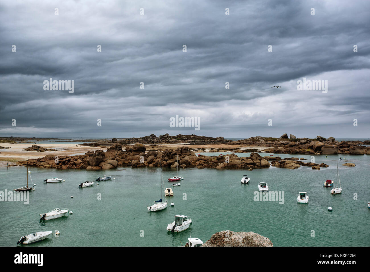 Summer Scenery in Brittany France with the Ocean and different types of ...