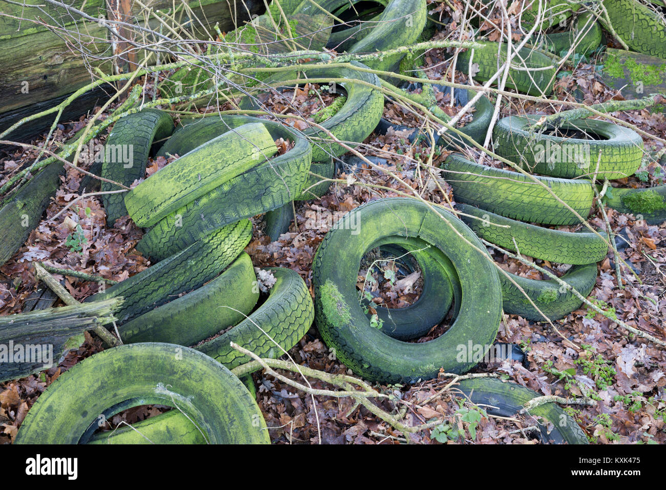 Old car tyres dumped in countryside and covered in moss, Burwash, East Sussex, England, United ...