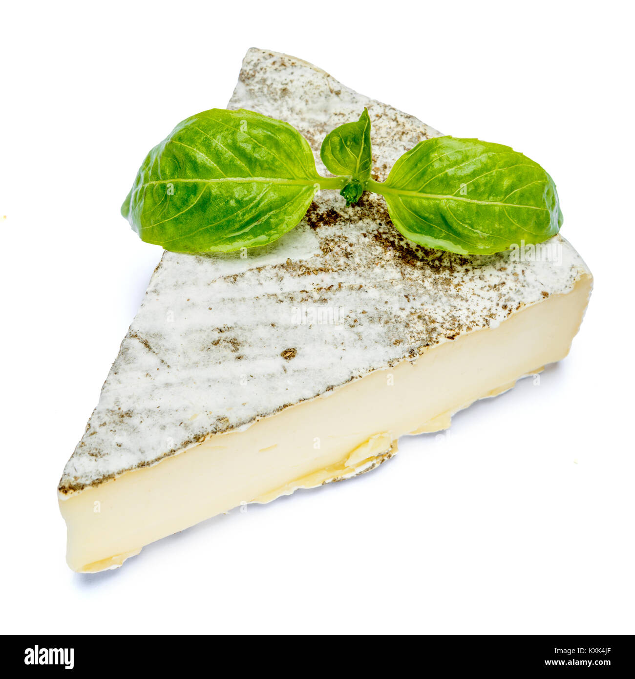 traditional french brie cheese and basil on a white background ...
