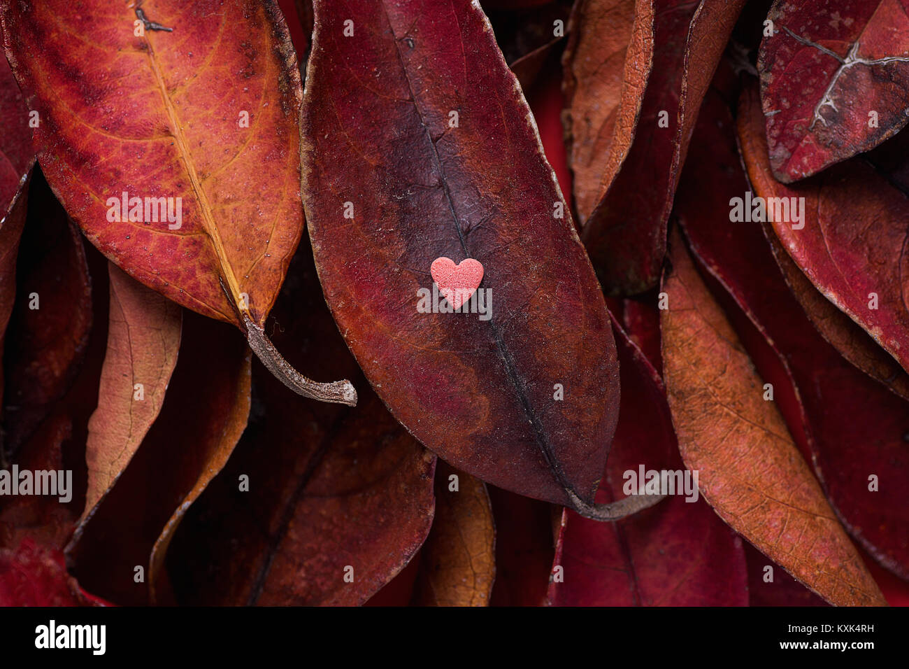 Pink sugar candy hi-res stock photography and images - Alamy