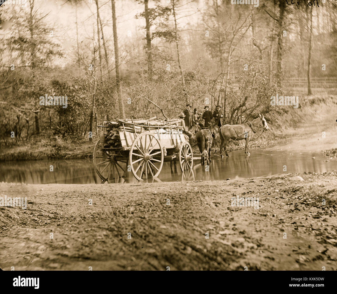 Mule crossing hi-res stock photography and images - Alamy