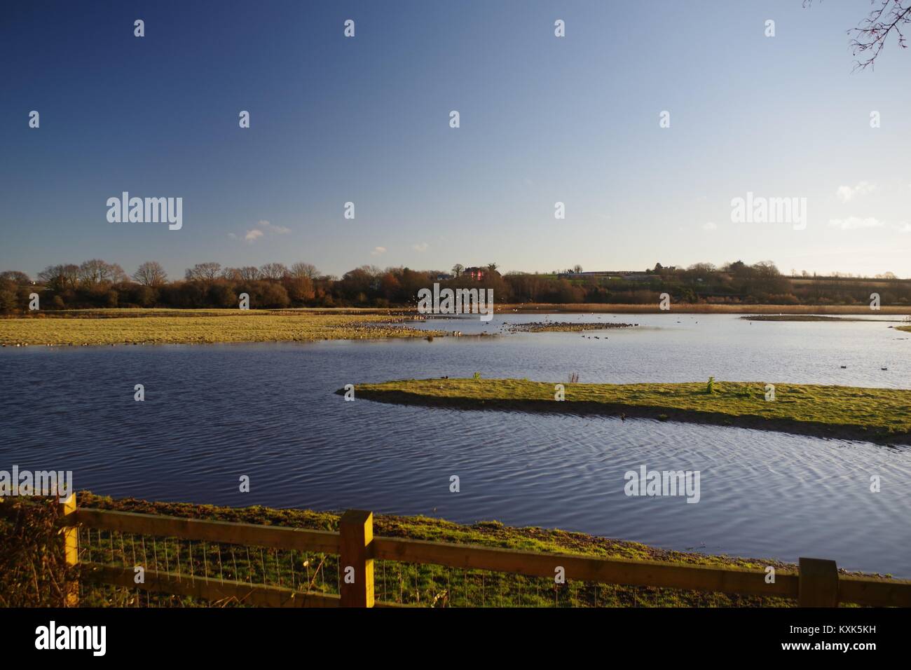 Exe estuary rspb reserve hi-res stock photography and images - Alamy Exe estuary rspb reserve hi-res stock photography and images - Alamy