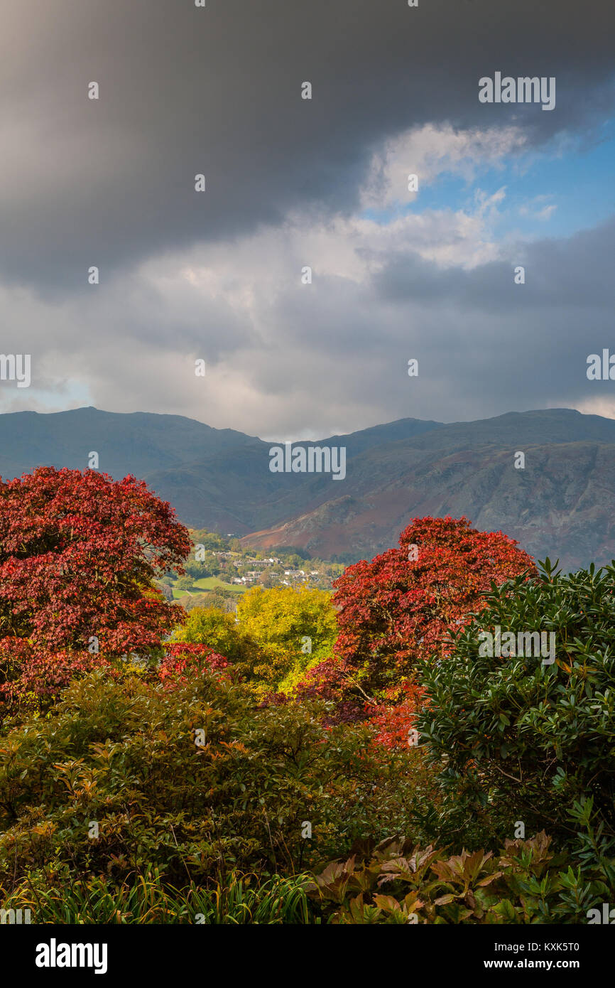 Brantwood gardens, home of John Ruskin, Coniston, Cumbria UK Stock ...