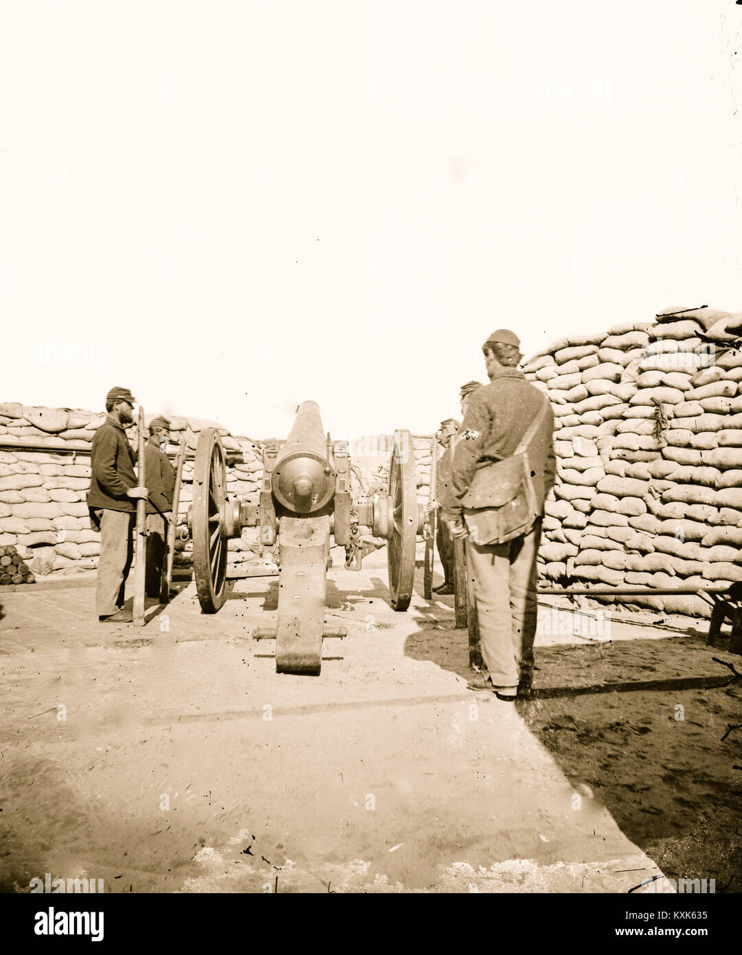 Parrot gun hi-res stock photography and images - Alamy