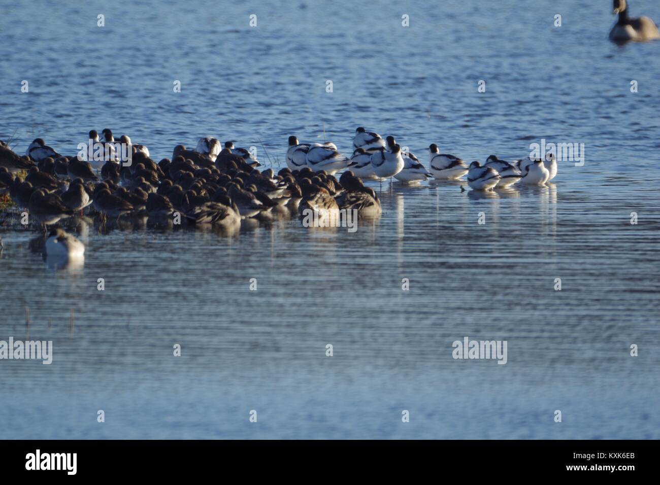 Bowling green nature reserve hi-res stock photography and images - Alamy