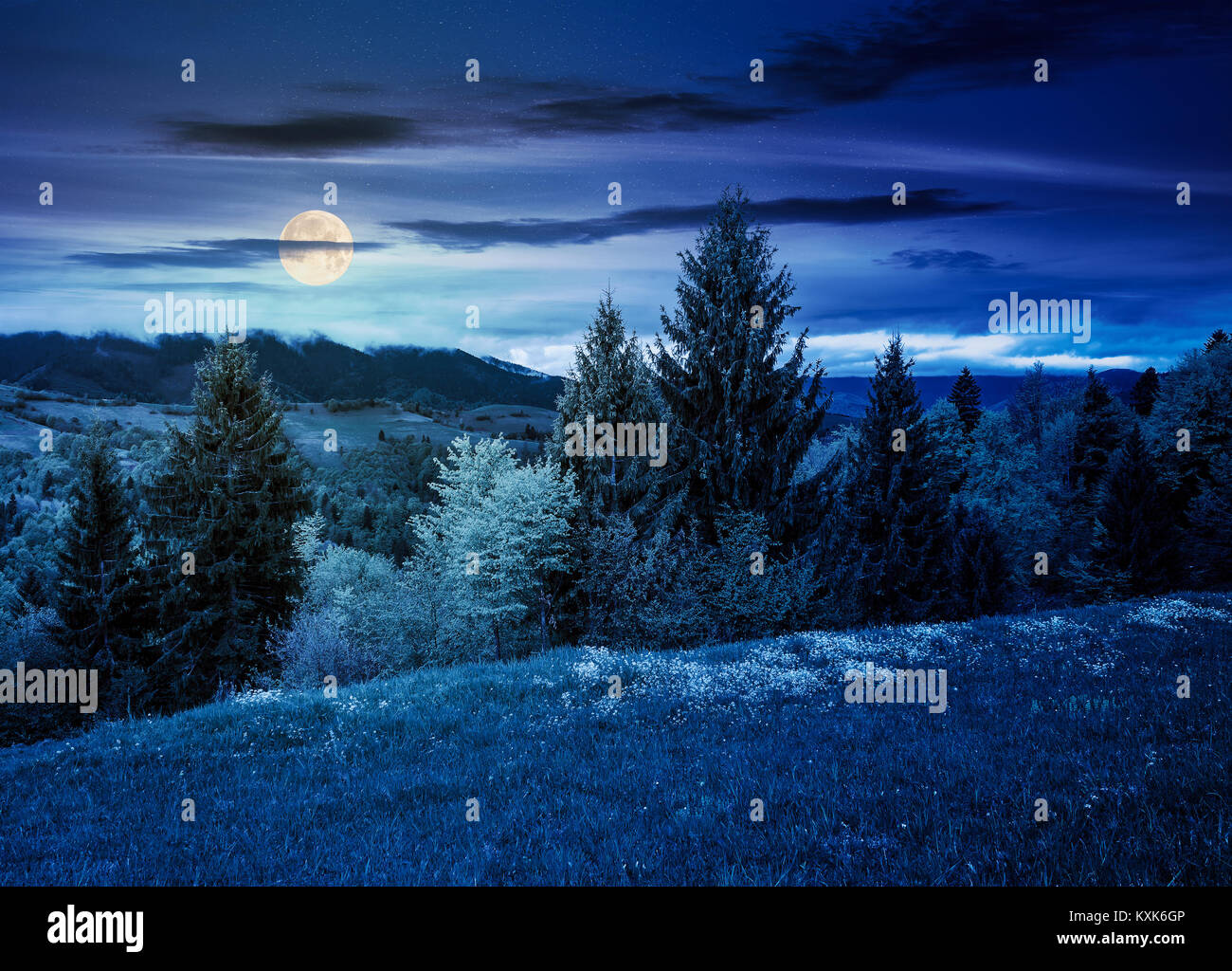lovely countryside with grassy hills at night in full moon light ...