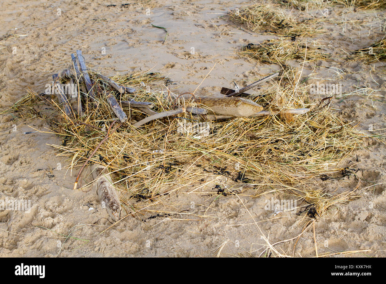 Plastic bottles and waste beach debris washed up on shore on the beach ...