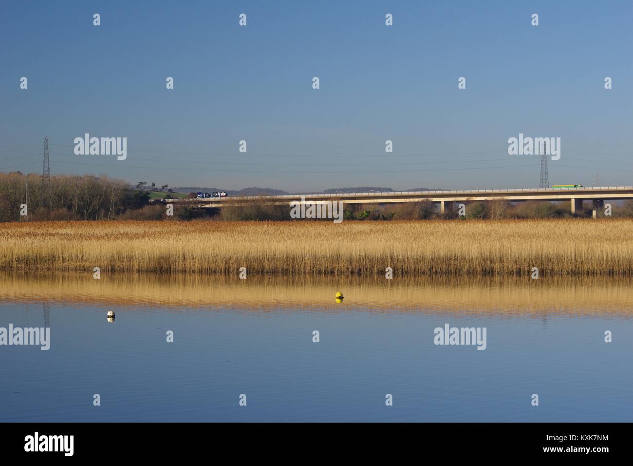 M5 Motorway Bridge of the Reed Beds of the Exe Estuary, from Topsham ...
