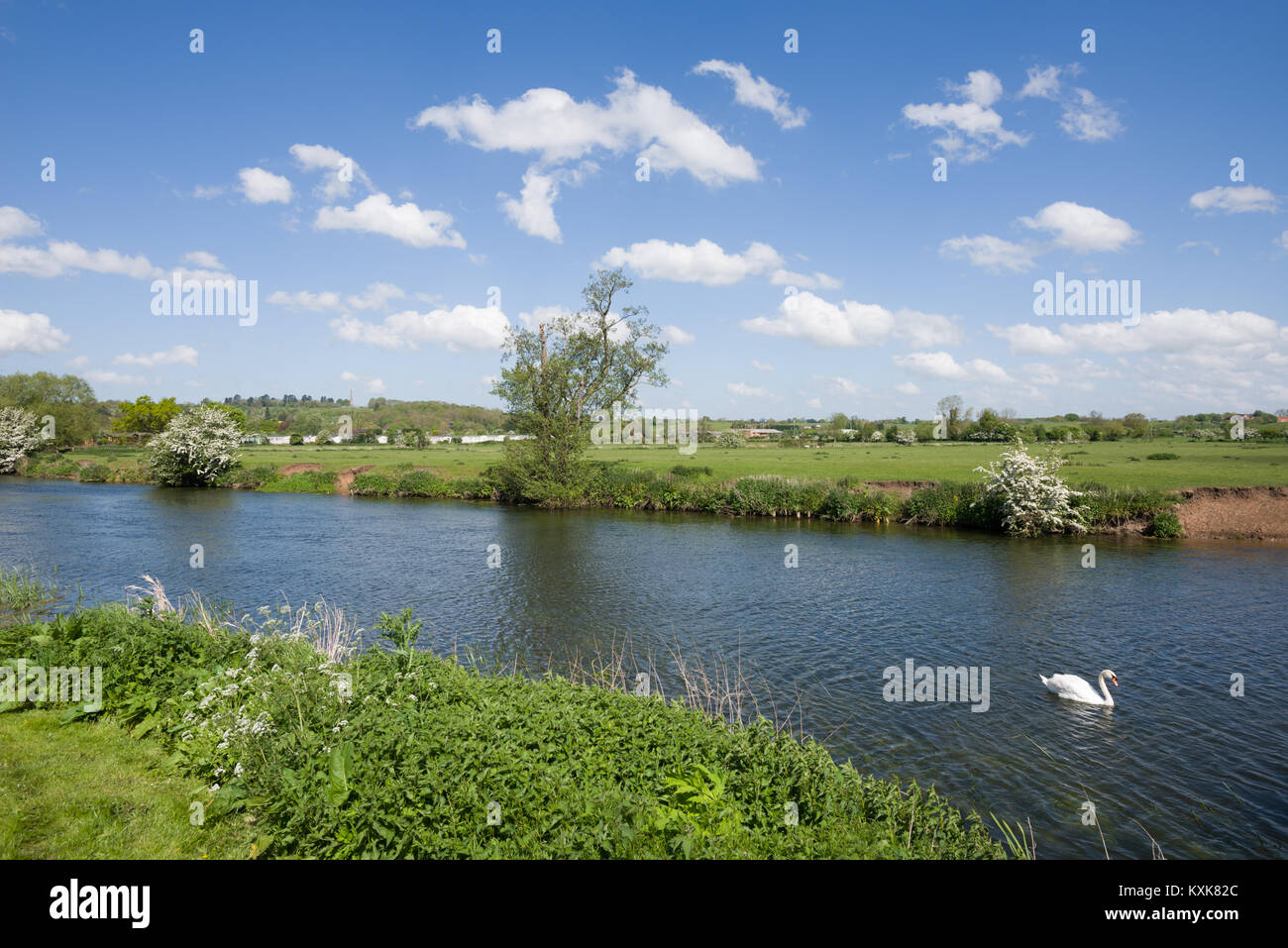 Tiddington High Resolution Stock Photography and Images - Alamy