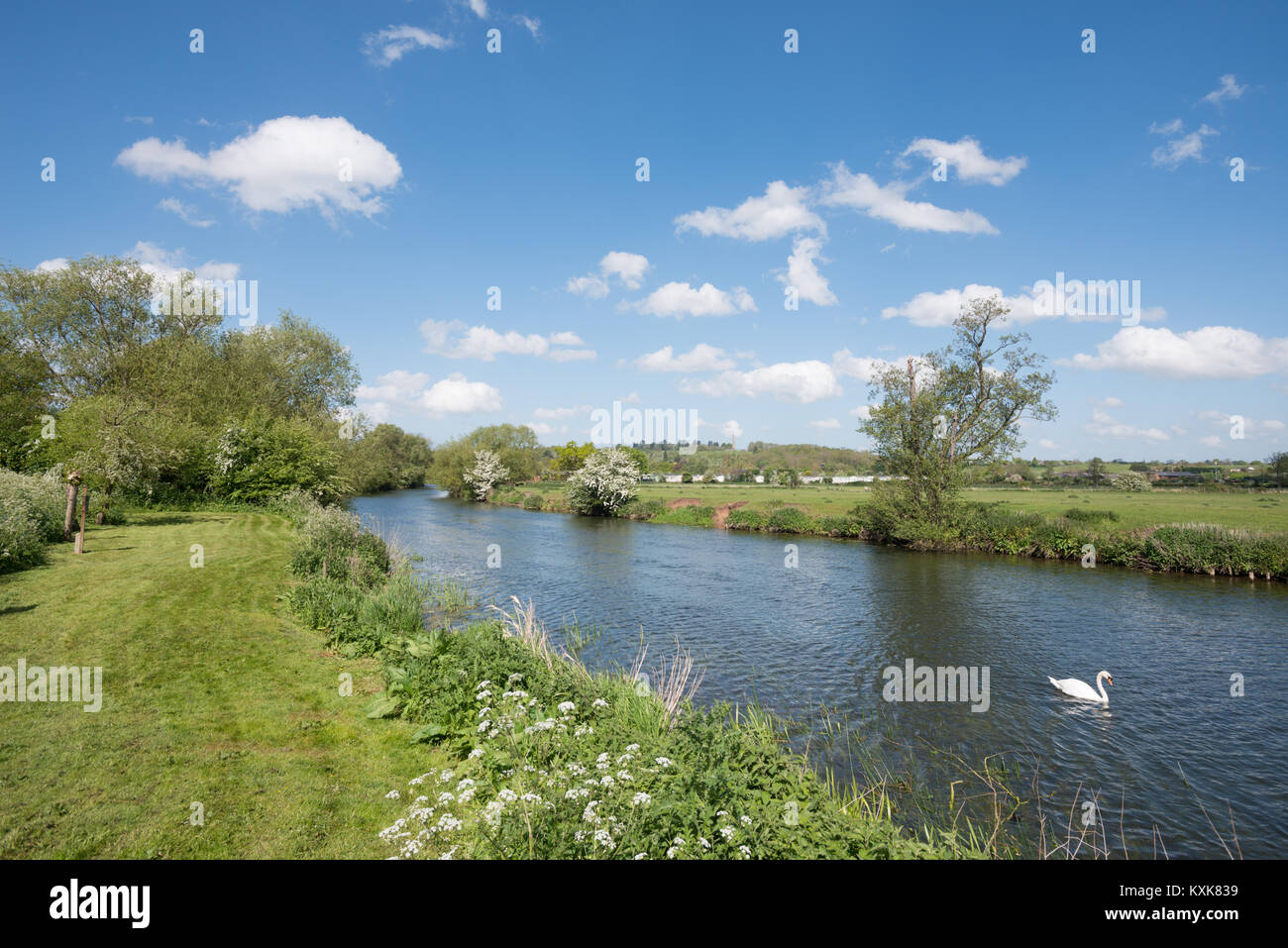 Tiddington hi-res stock photography and images - Alamy