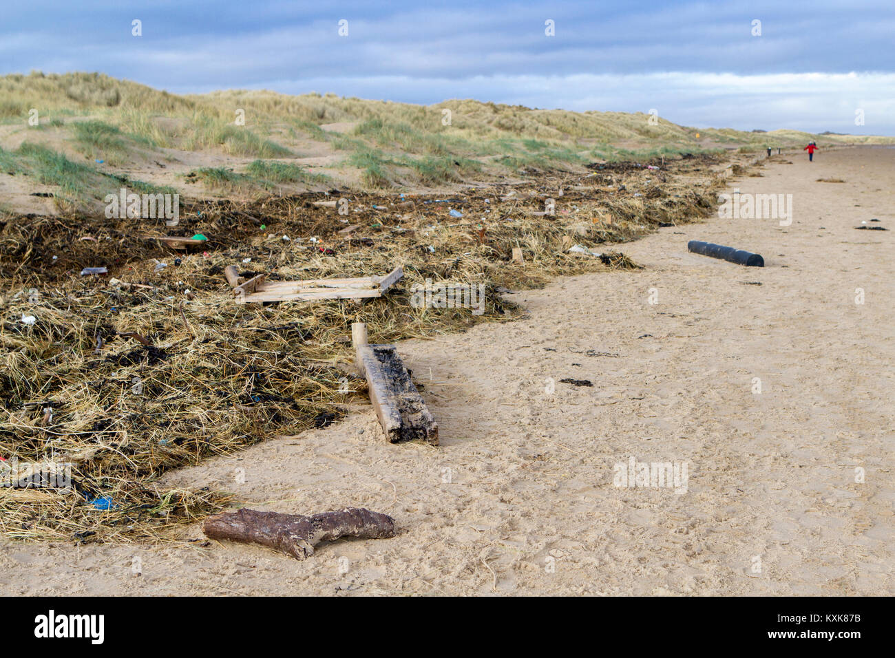 Plastic bottles and waste beach debris washed up on shore on the beach ...