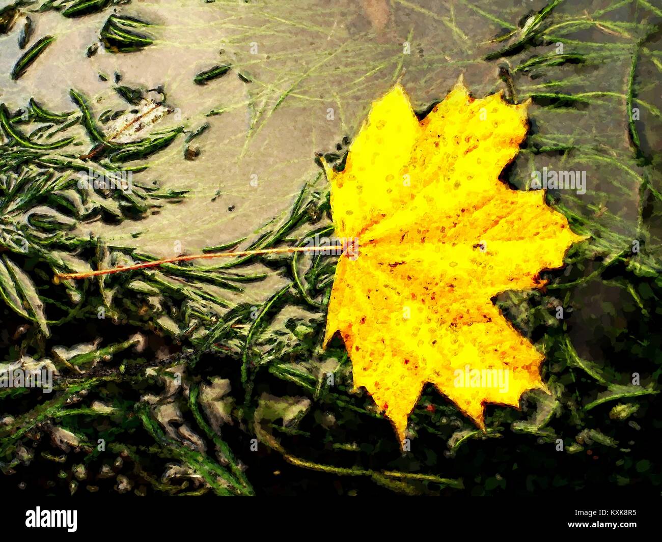Oil painting, brush strokes. Fallen maple leaf in green algae. Rotten ...