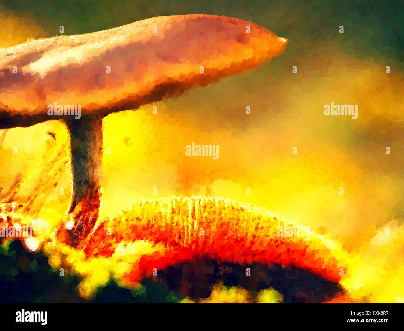 Oil painting, brush strokes. Mysterious wild muschroom in lighting ...