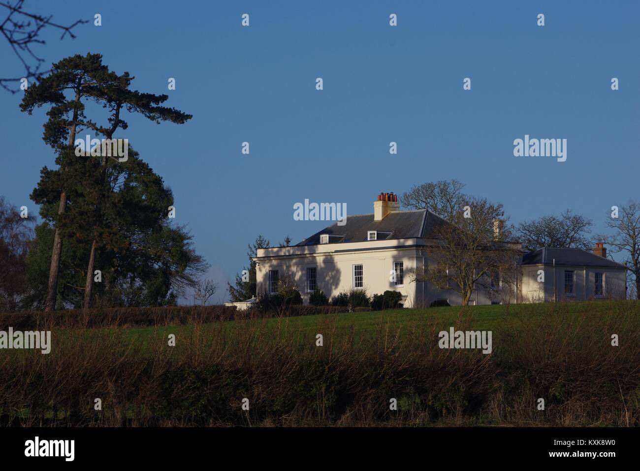 Country Manor House Surrounded by Farmland with Scots Pine Trees (Pinus ...