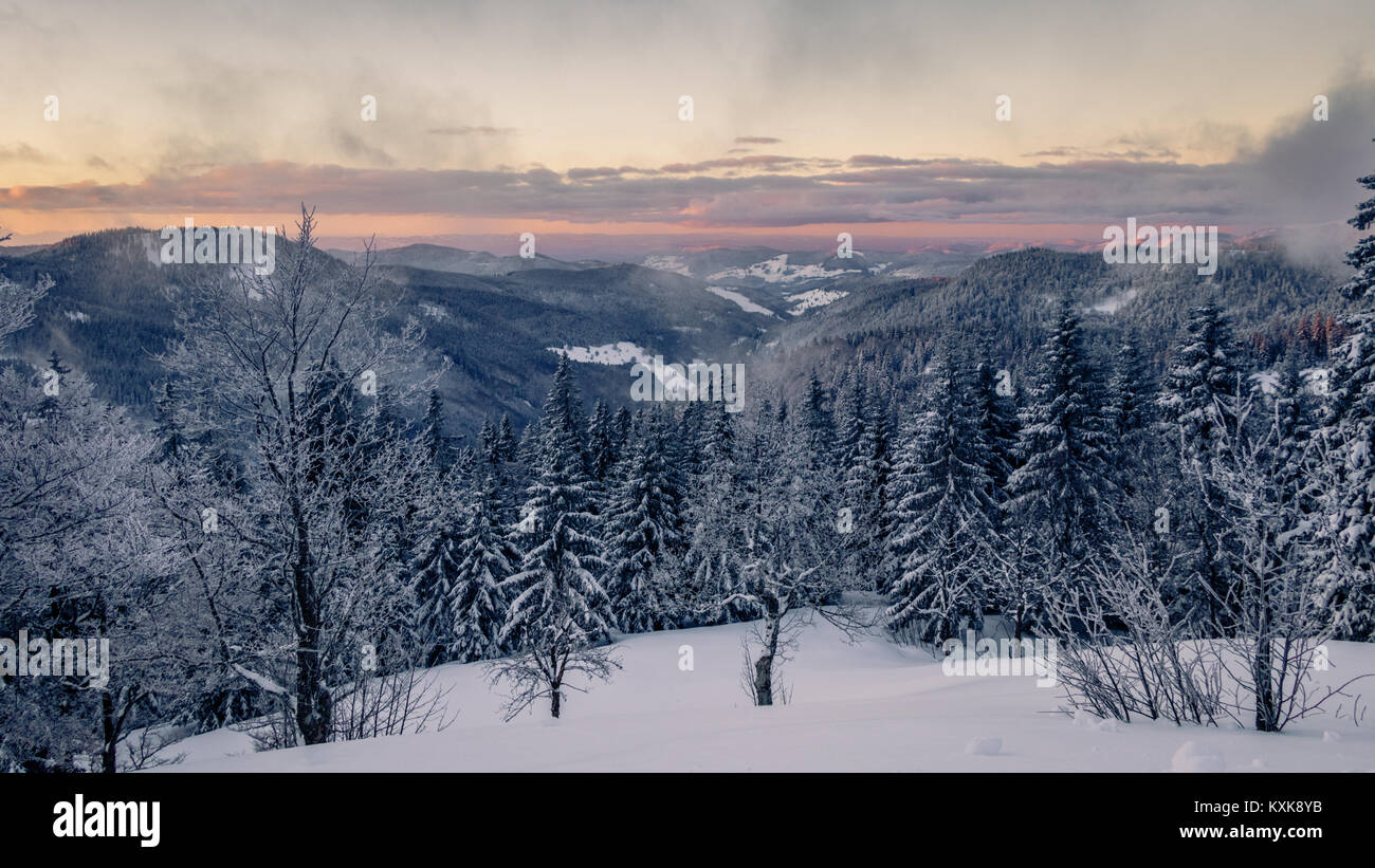 Black forest hut hi-res stock photography and images - Alamy