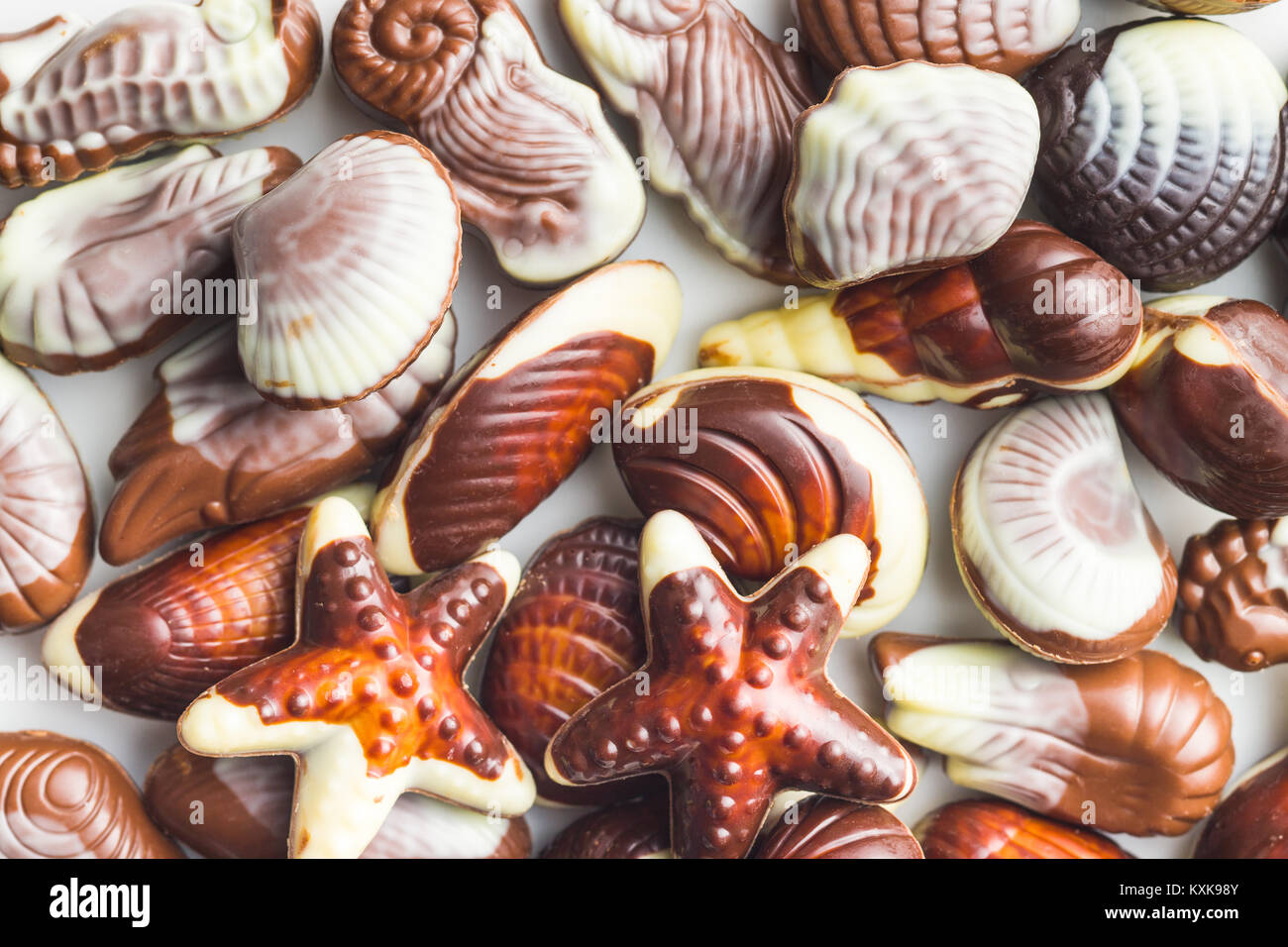 Belgian chocolate seashells hi-res stock photography and images - Alamy