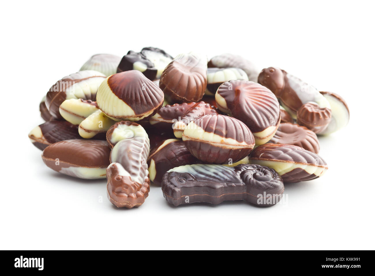 Sweet chocolate seashells isolated on white background Stock Photo - Alamy