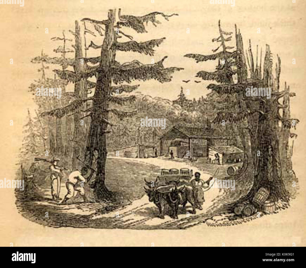 An engraving from Frederick Law Olmsted’s 1856 book A Journey in the ...