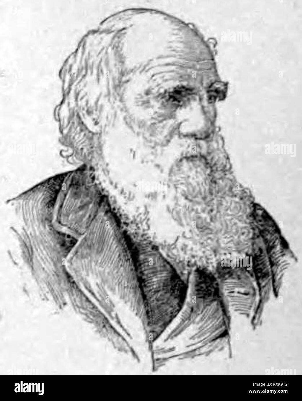 Charles darwins theory hi-res stock photography and images - Alamy