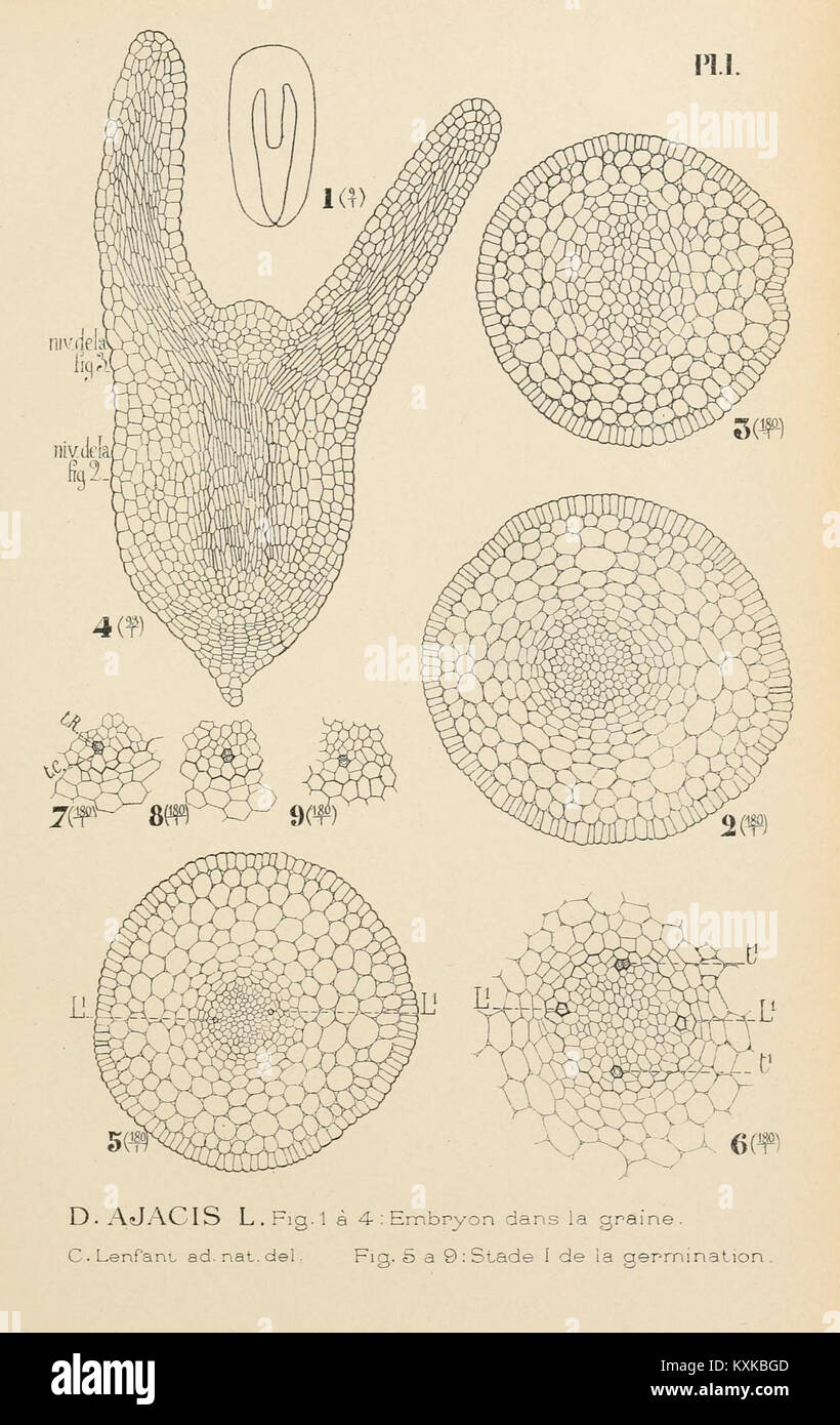 Archives of the Botanical Institute of the University of Liège contain ...