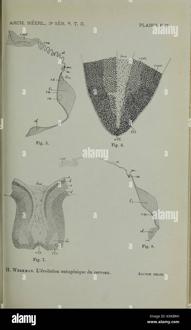 Page from the Dutch Archives of Exact and Natural Sciences documenting ...