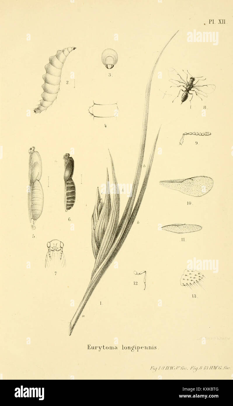 Archives néerlandaises des sciences exactes et naturelles BHL7105194 ... Archives néerlandaises des sciences exactes et naturelles BHL7105194 ...