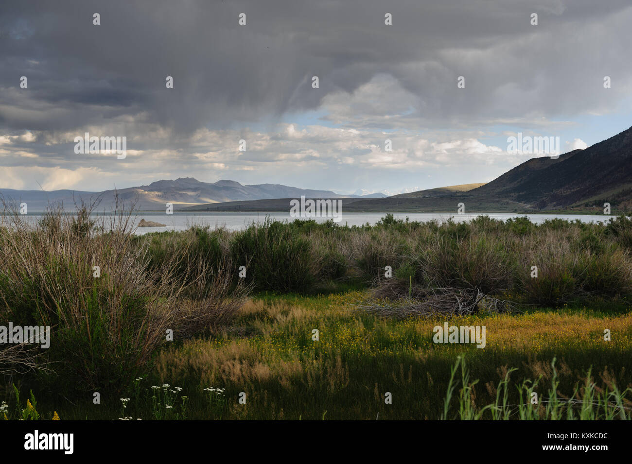 Mono Lake Coast Line Stock Photo - Alamy