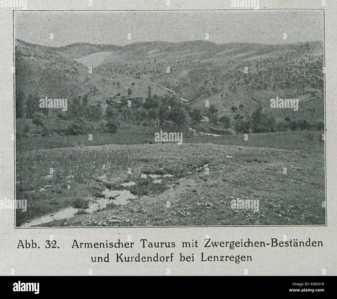 This image depicts the Armenian Taurus mountain range with its dwarf ...