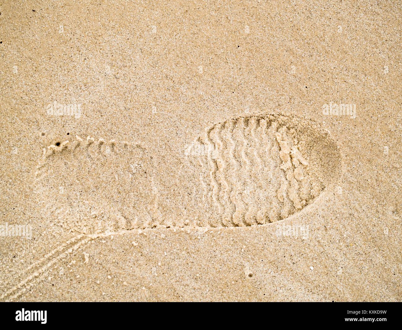 footprint of the shoe on the sand of the sea Stock Photo - Alamy