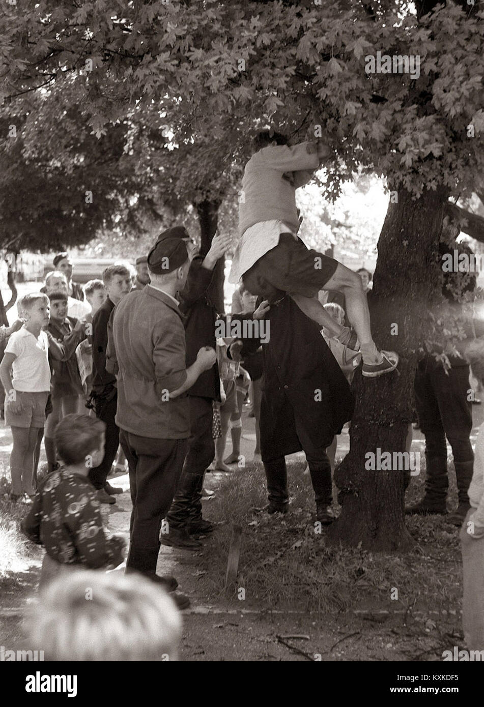 Artist pleza z drevesa parka pri Slomškovem trgu 1958 Stock Photo - Alamy