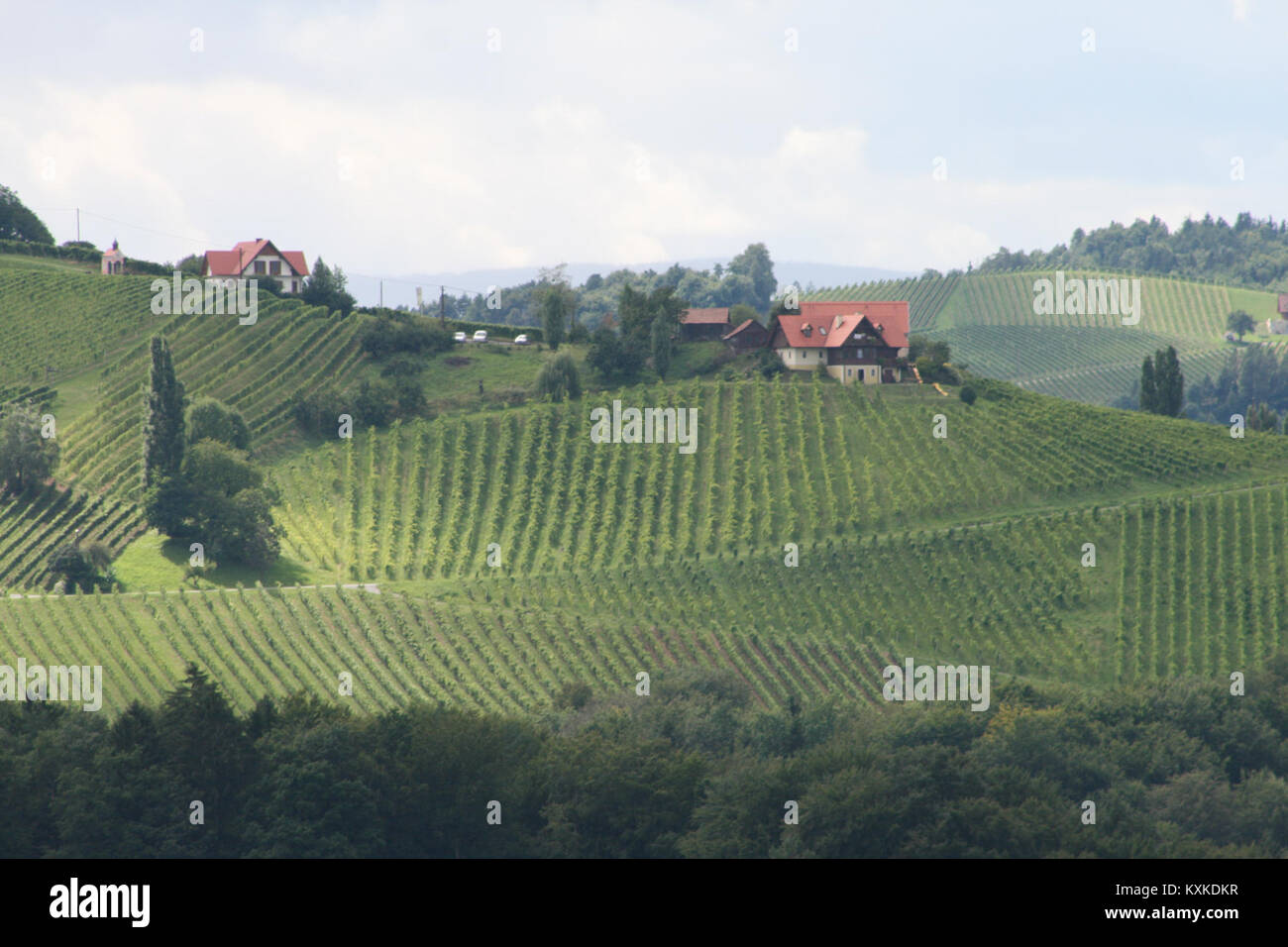 This view shows the South Styria (Südsteiermark) region of Austria ...