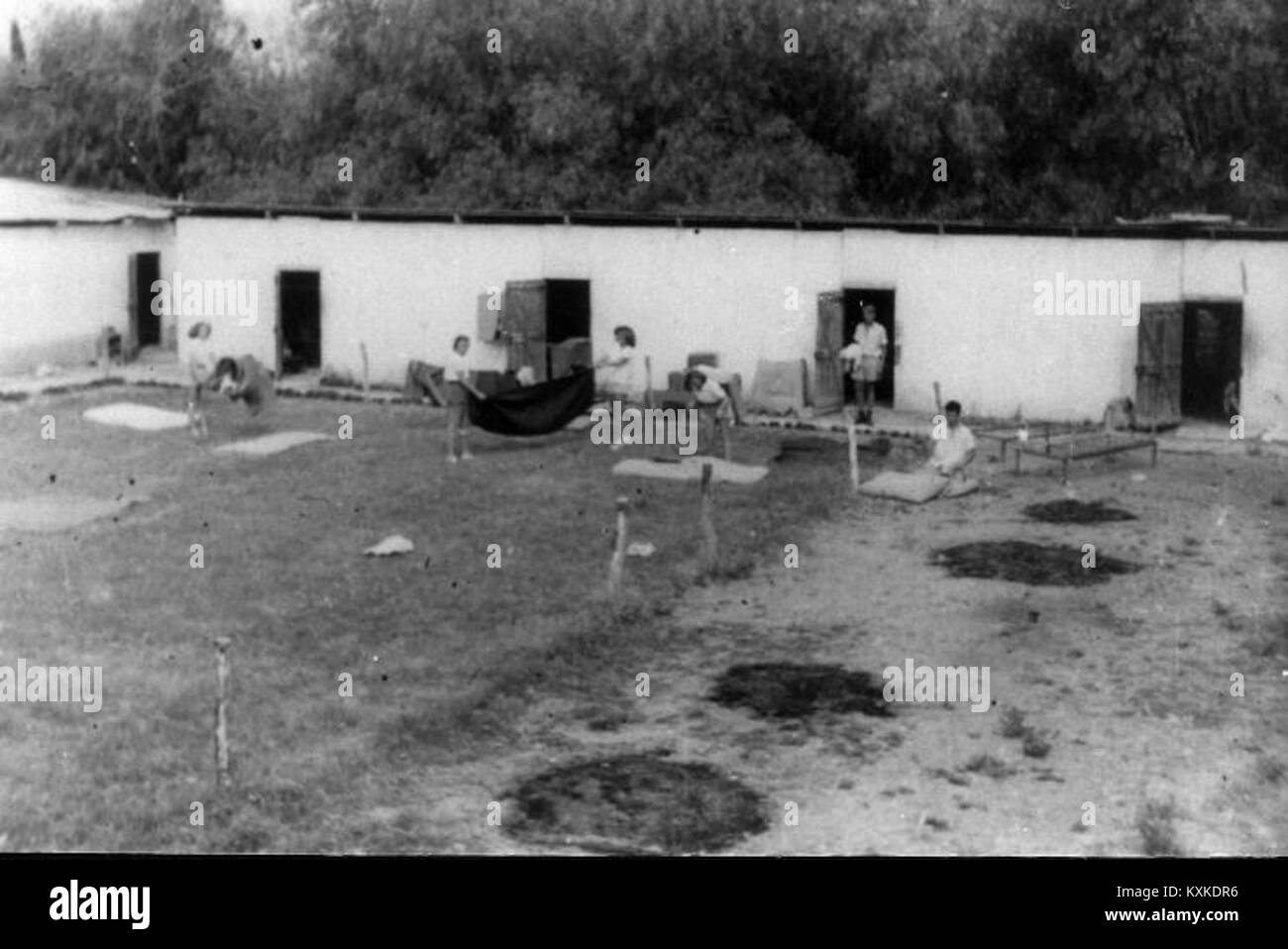 Ashdot hi-res stock photography and images - Alamy