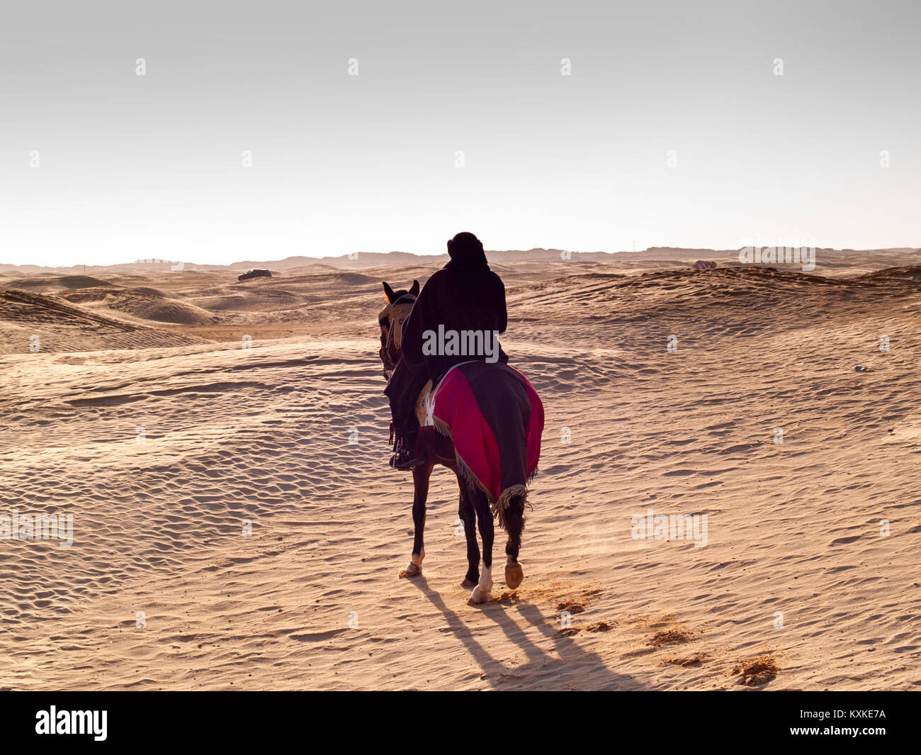 Desert knights hi-res stock photography and images - Alamy