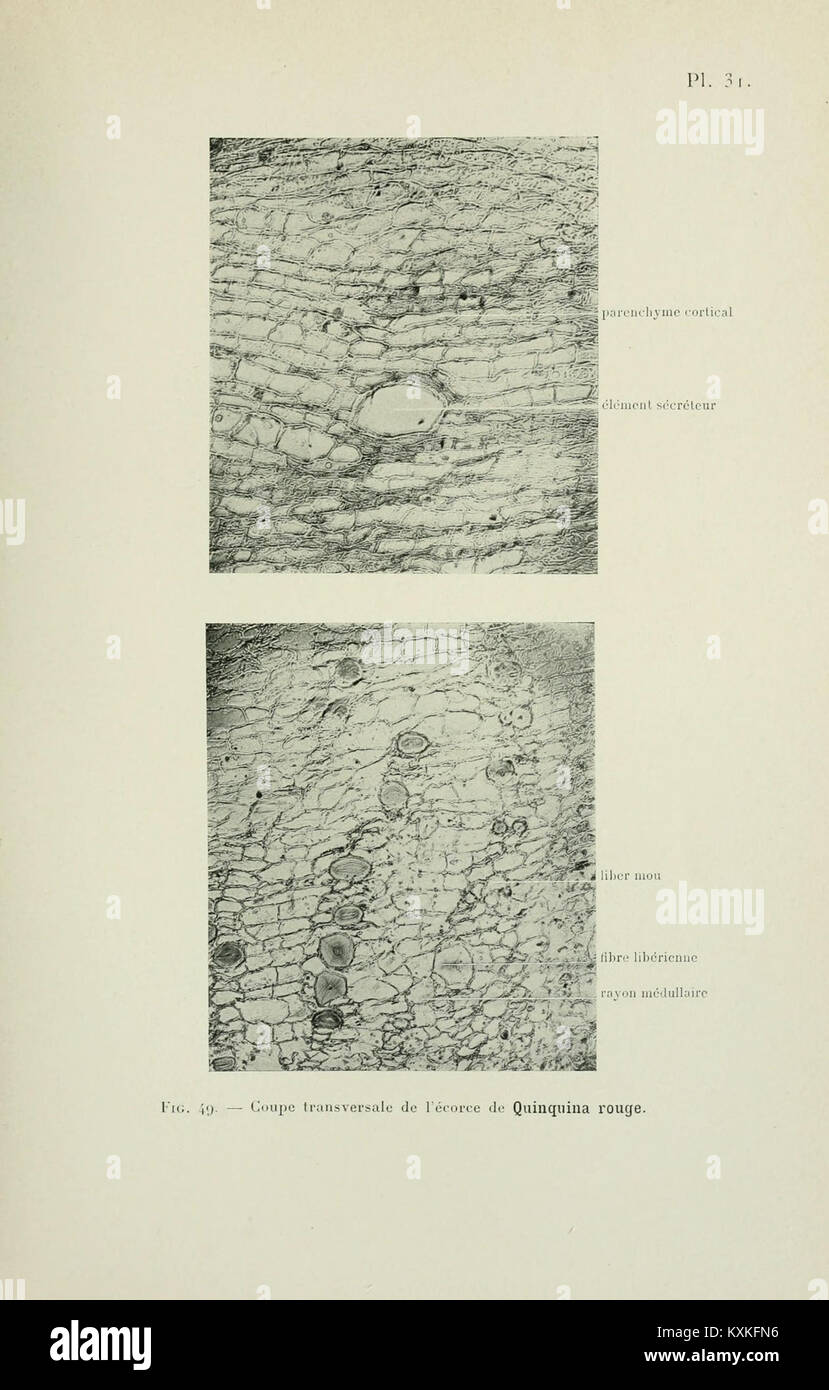 The atlas page displays photomicrographs of medicinal plants ...