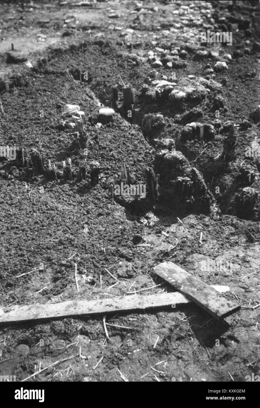 This image shows the Alvastra pile building in Sweden, an ...