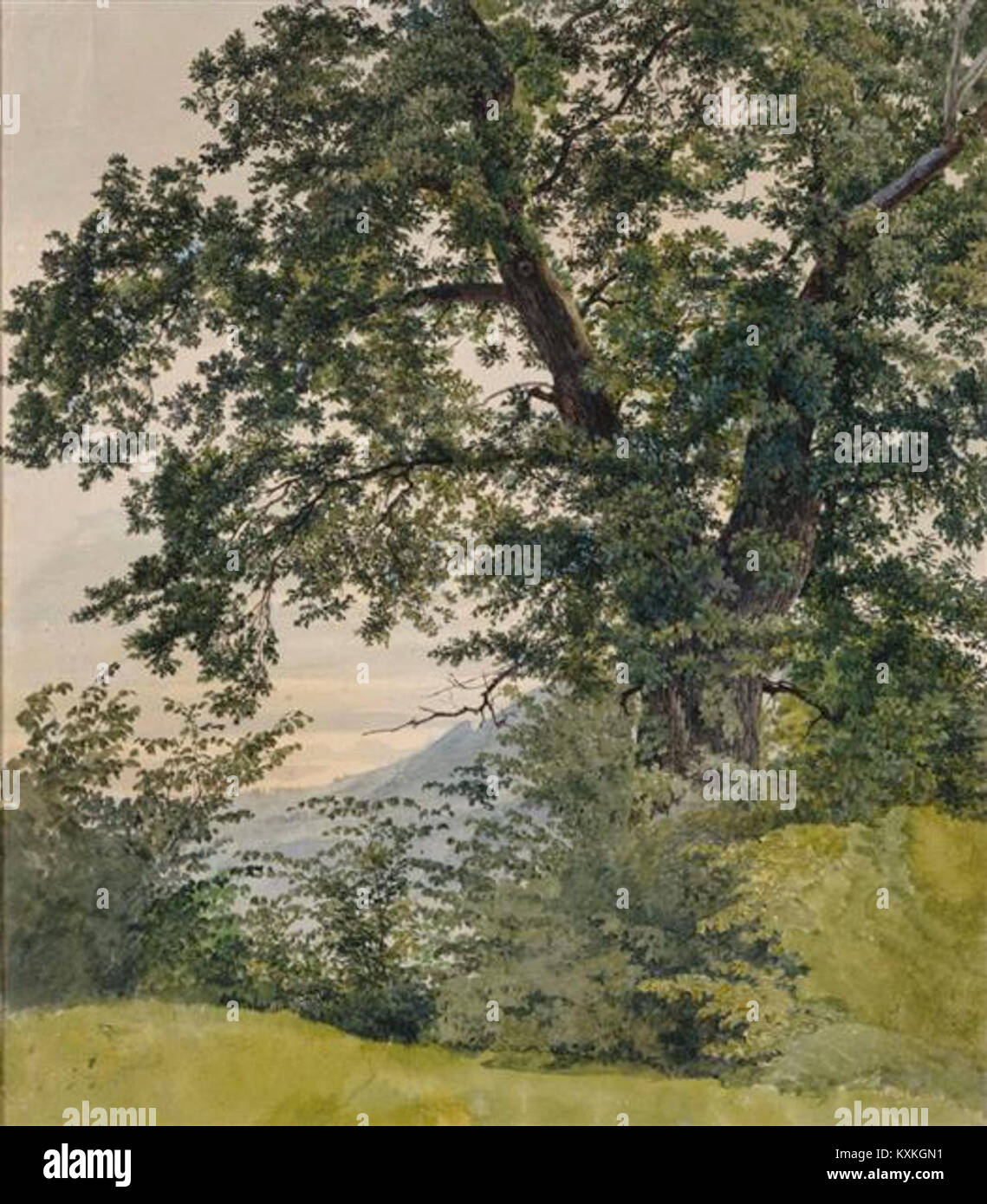 August Heinrich - Baum in Landschaft (1821 Stock Photo - Alamy