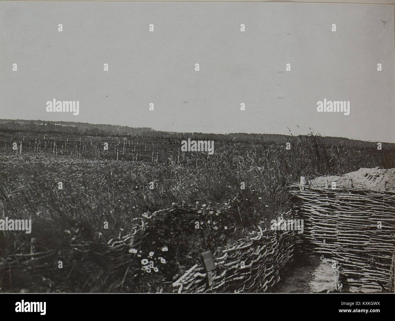 German trench system during wwi hi-res stock photography and images - Alamy