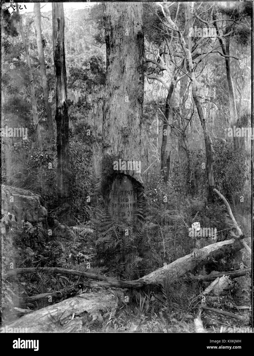 Carved bush Black and White Stock Photos & Images - Alamy