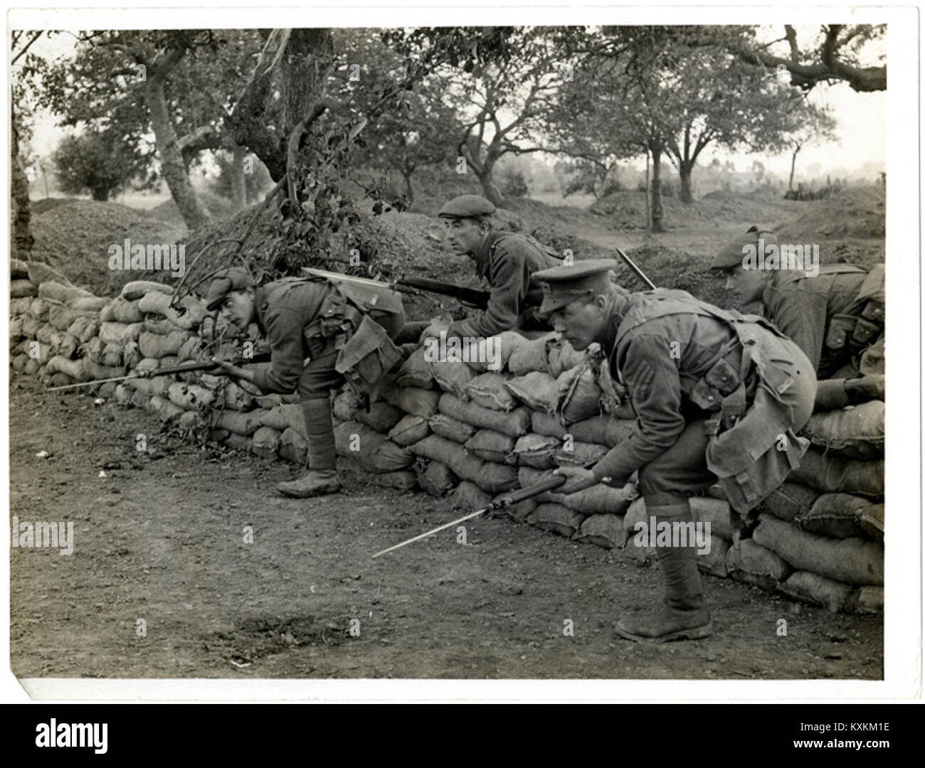 Trench warfare wwi hi-res stock photography and images - Alamy