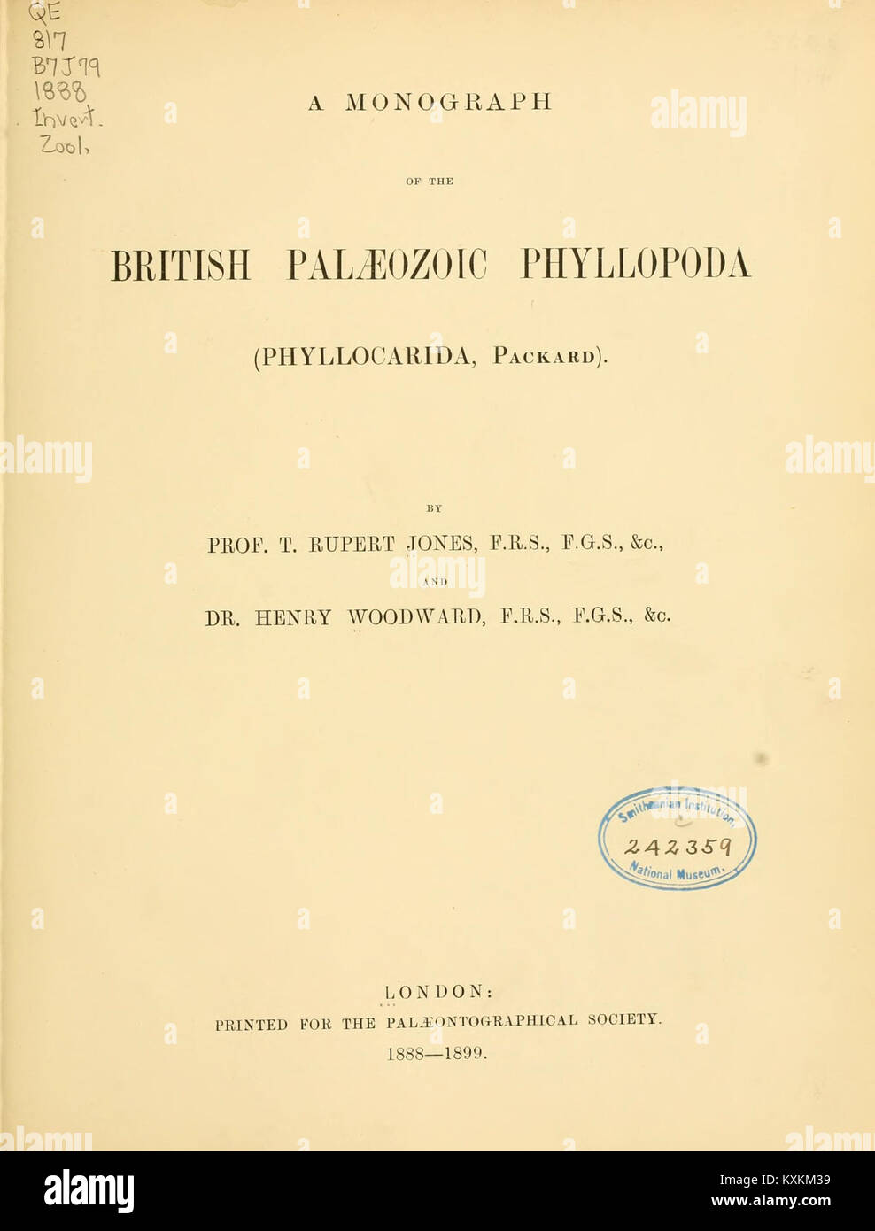 Phyllopoda hi-res stock photography and images - Alamy